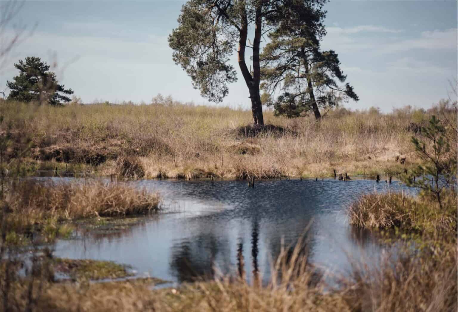 Team building and environmental protection – Mission to Marsh gGmbH